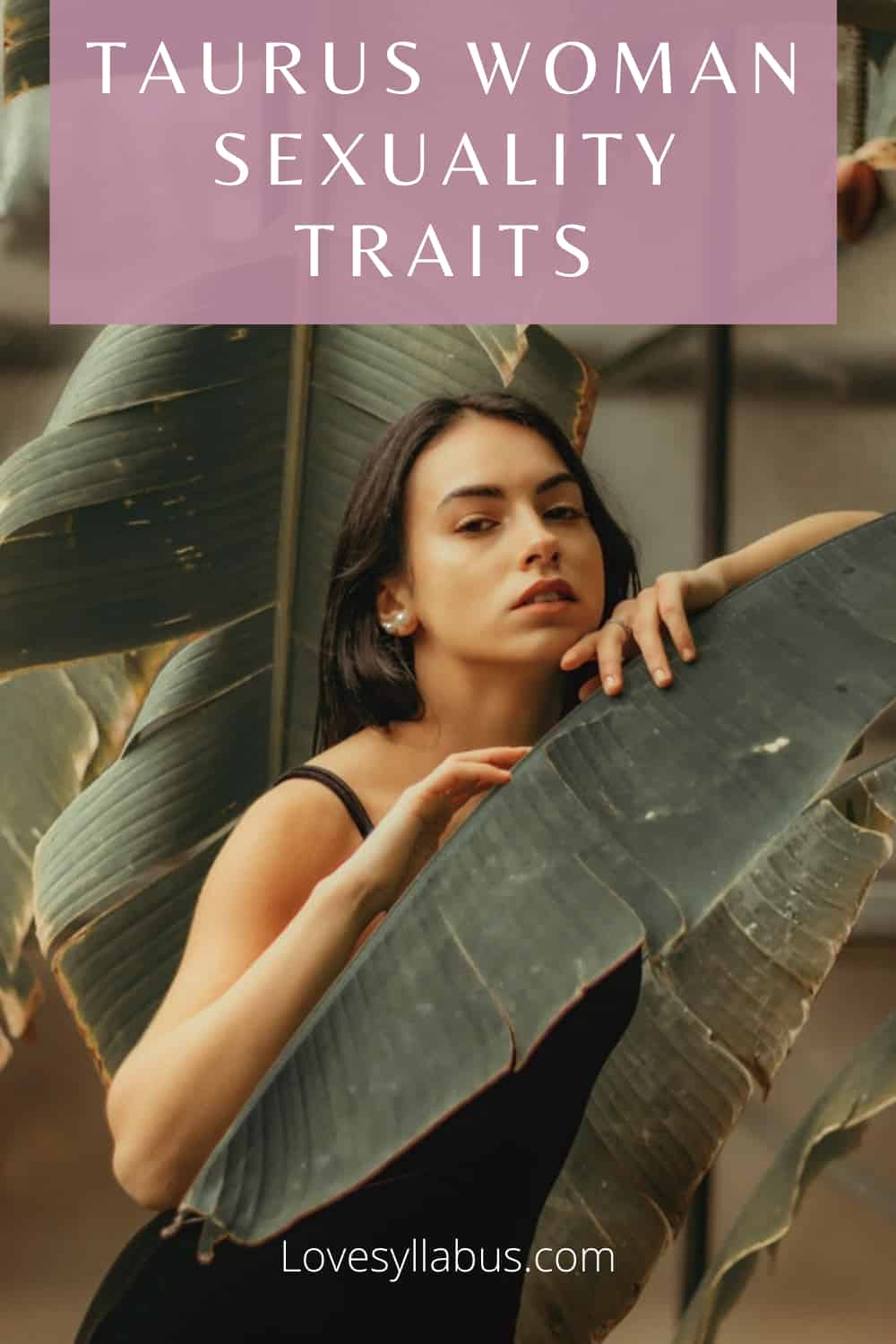 Taurus Woman Love & Sex Compatibility With other Zodiac Signs